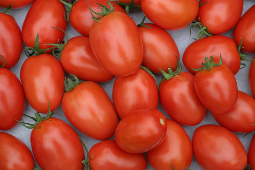 Complete Guide to Tomato Varieties and How to Use Them - Farm Flavor