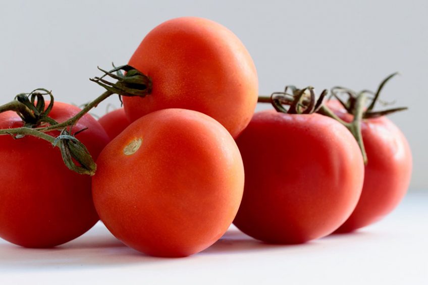 Complete Guide to Tomato Varieties and How to Use Them - Farm Flavor