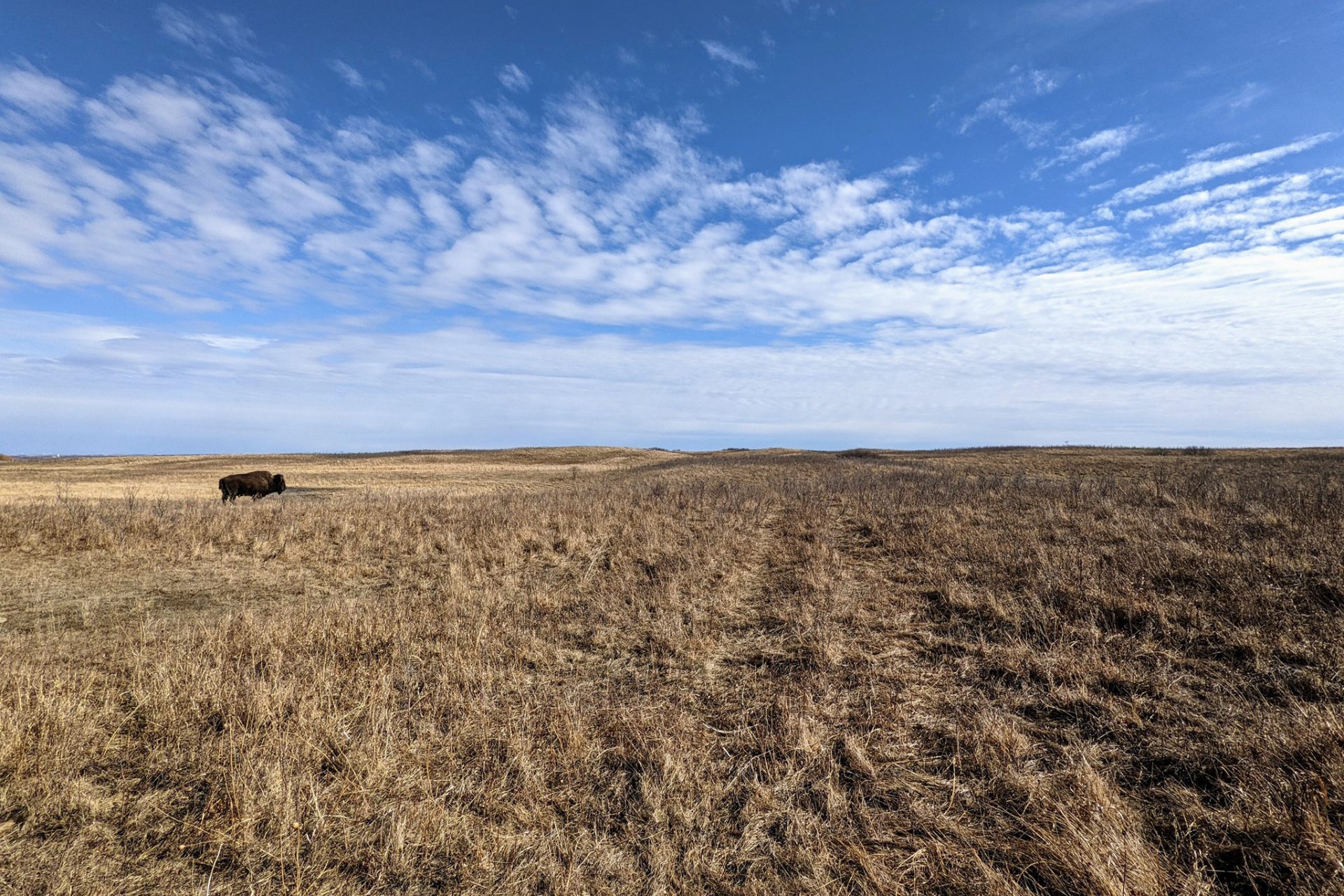 Must-Visit Agritourism Spots in North Dakota - Farm Flavor