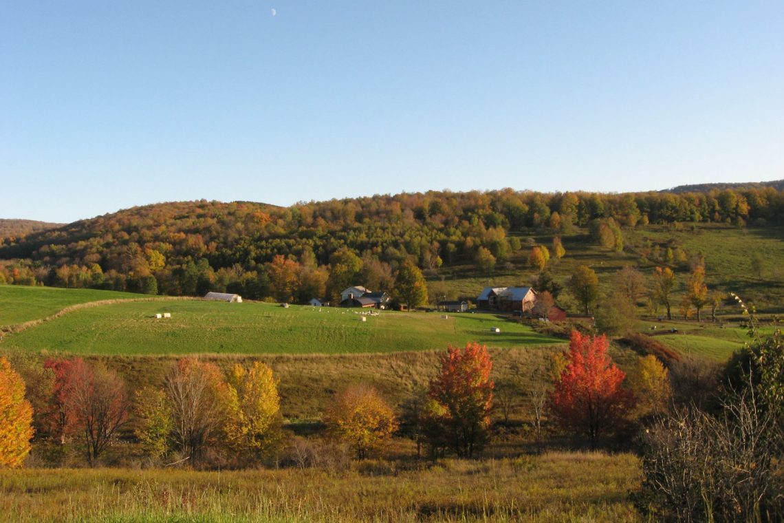 7 Can't Miss New York Agritourism Experiences - Farm Flavor