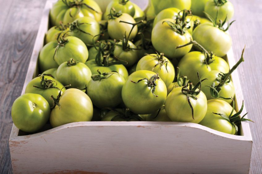 What Are Green Tomatoes? (And How to Cook With Them) - Farm Flavor