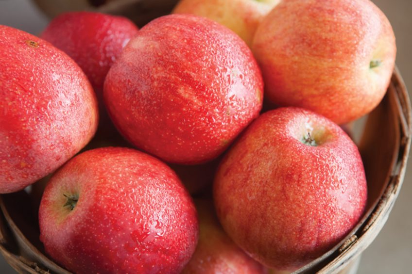 10 Common Apple Varieties and How to Use Them - Farm Flavor