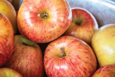 10 Common Apple Varieties and How to Use Them - Farm Flavor