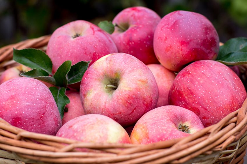10 Common Apple Varieties and How to Use Them - Farm Flavor