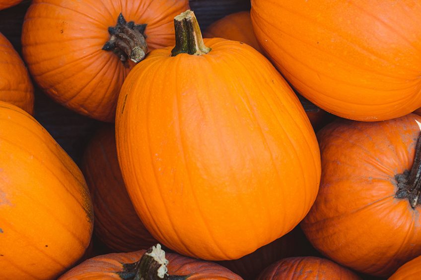 Pumpkin Carving Tips for Gorgeous Gourds - Farm Flavor
