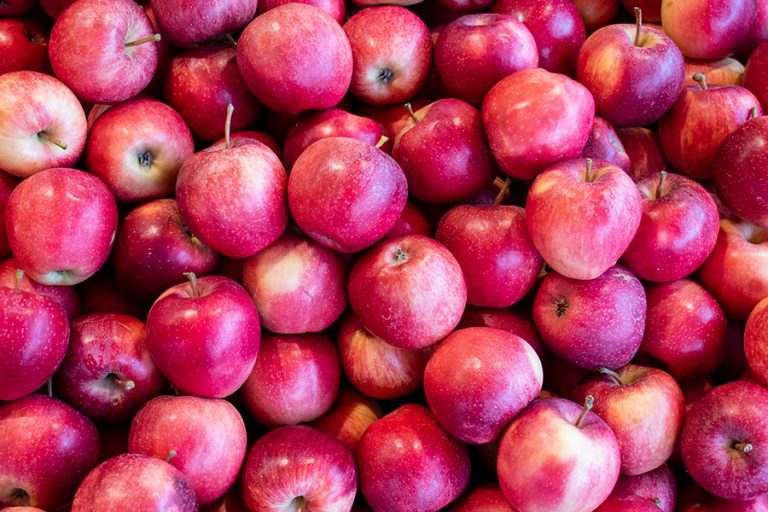10 Common Apple Varieties and How to Use Them - Farm Flavor