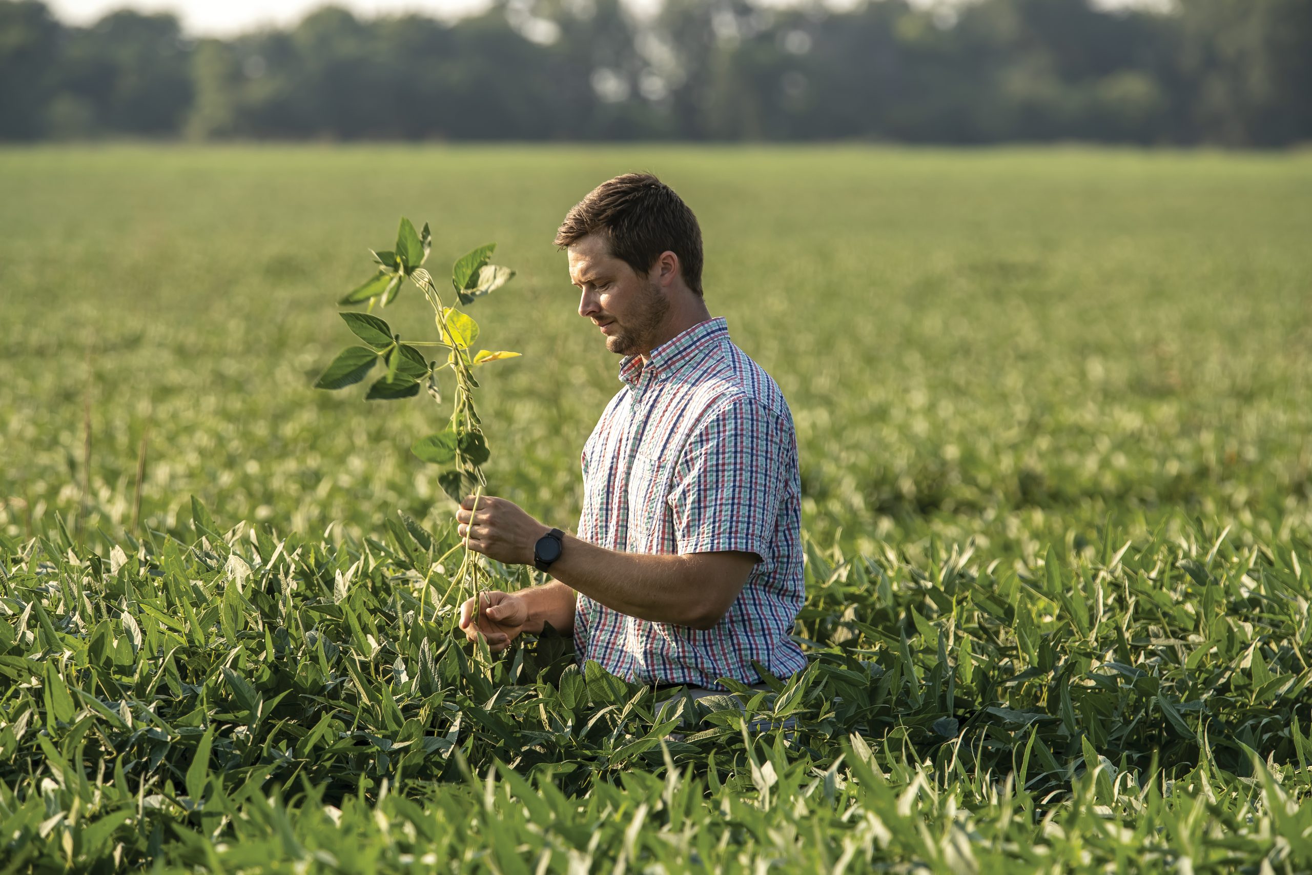 High-Tech Tools Help Farmers Produce More With Less - Farm Flavor