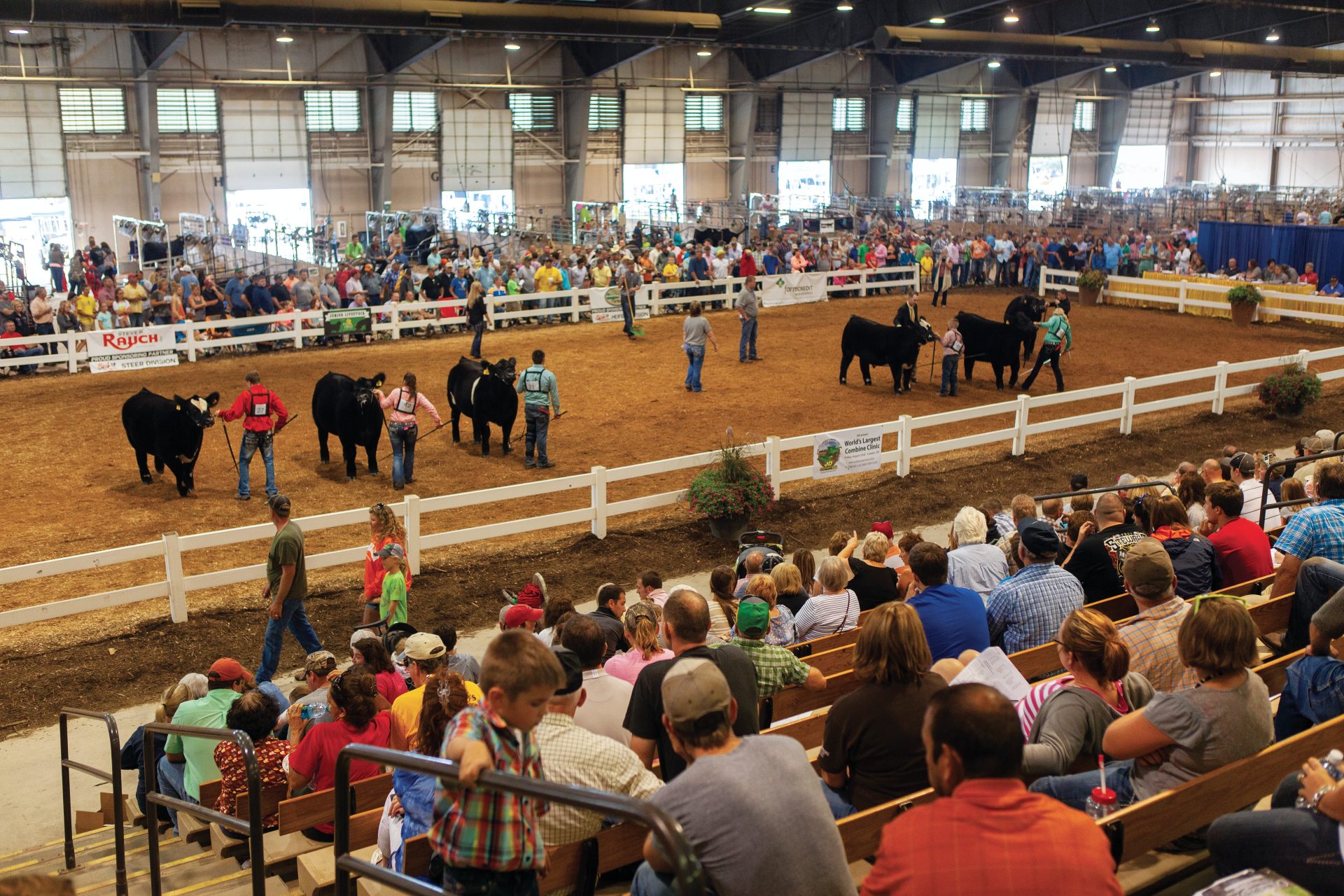 Ohio County Fairs Are Back for 2022 - Farm Flavor