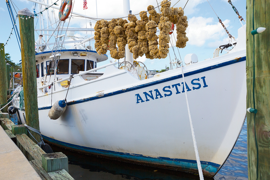 A Deep Dive Into the Tarpon Springs Sponge Industry - Farm Flavor
