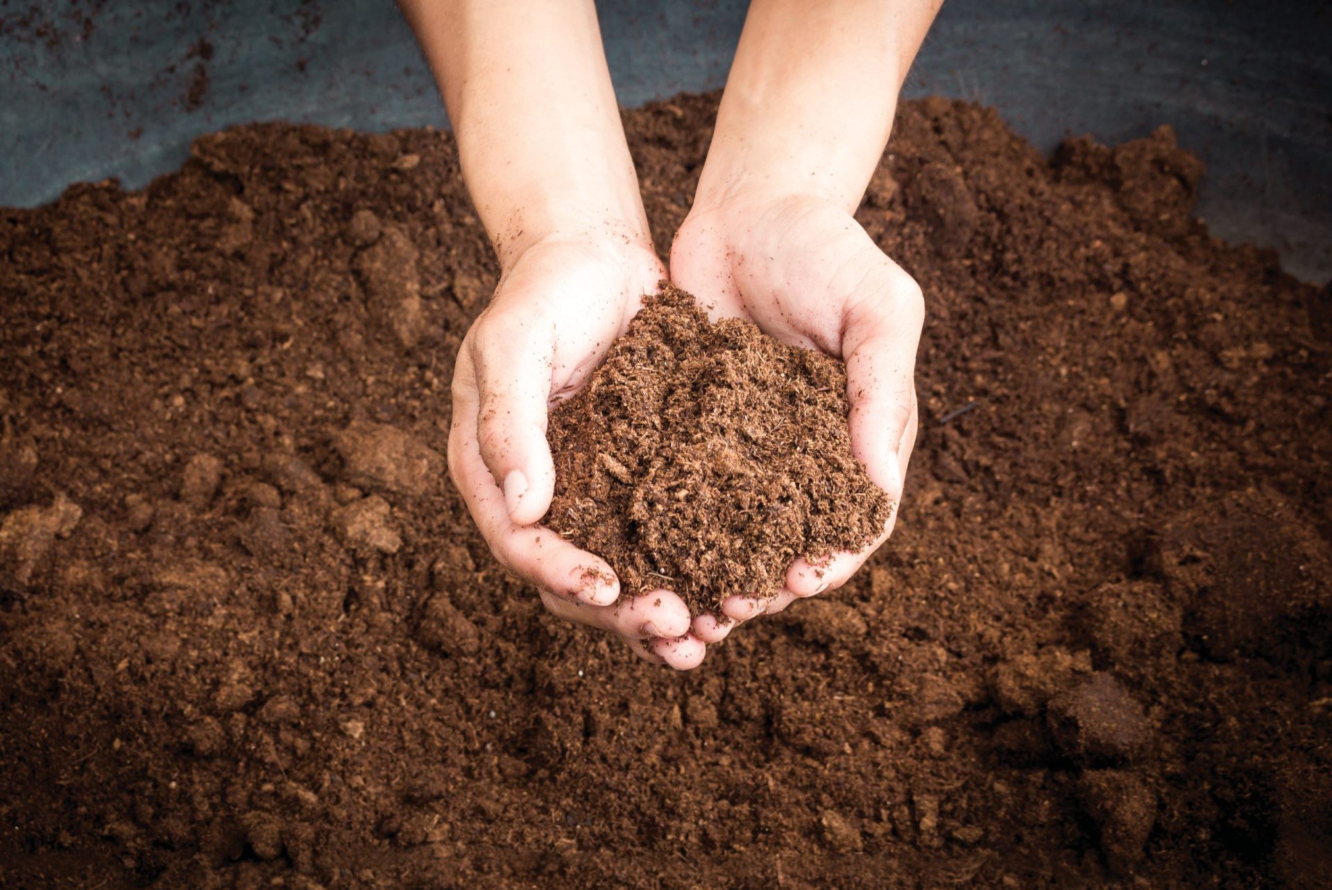 How Farmers Protect the Environment - Farm Flavor
