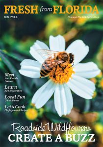 Fresh From Florida 2020 - Farm Flavor