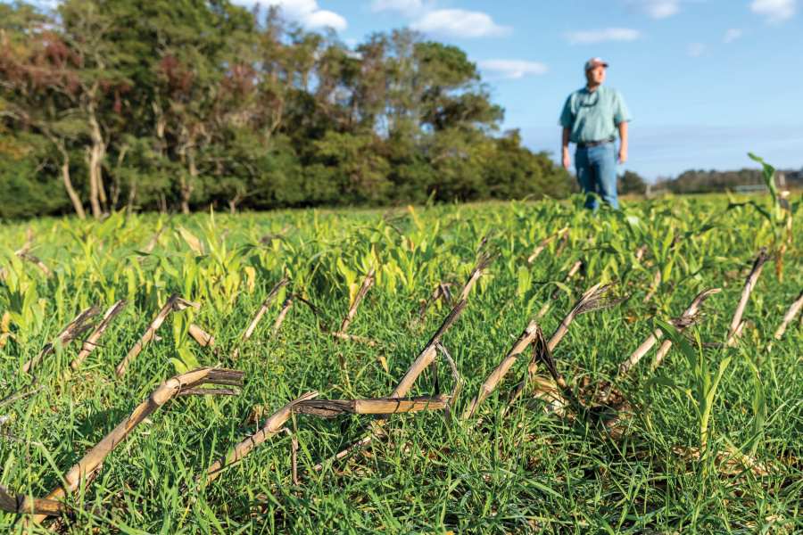 Conservation Considerations Are a Priority for Virginia Farmers - Farm ...