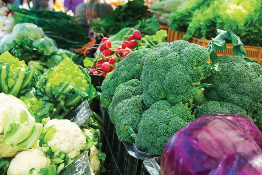 What to Plant in March - Farm Flavor