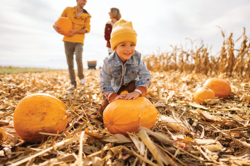 Did You Know the History of Halloween Is Rooted in Agriculture? - Farm ...