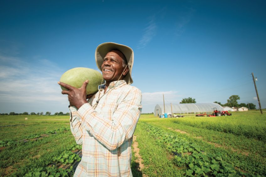 Mississippi Farms Come in All Shapes and Sizes - Farm Flavor
