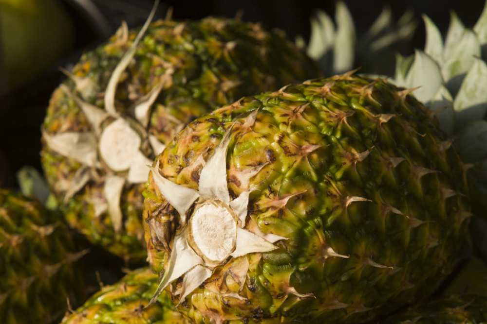 Hawaii Holiday Gift Guide of Local Products - Farm Flavor