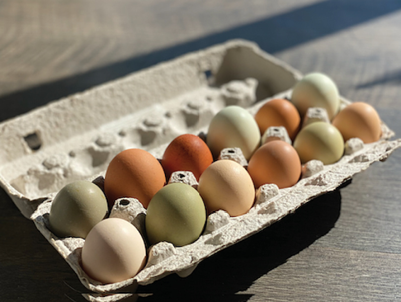 Ohio Young Farmers Started Farming From Scratch - Farm Flavor