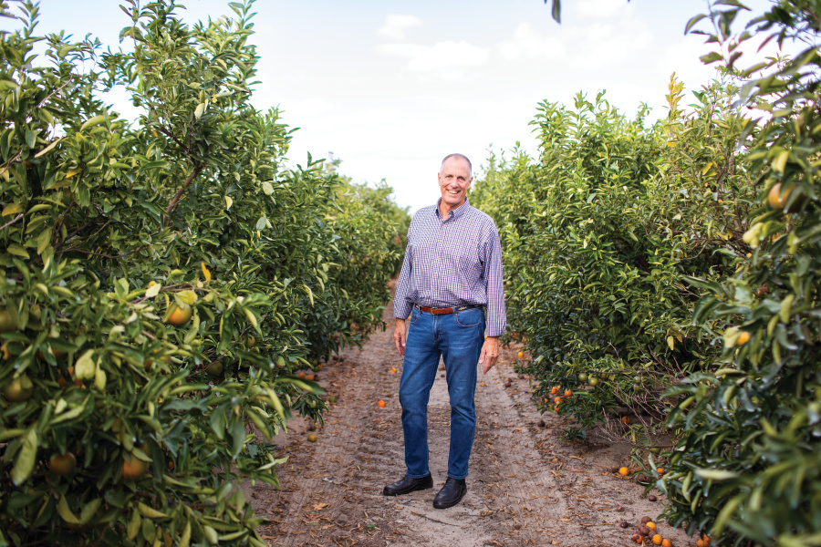 Citrus Growers Think Outside the Crate in Pursuit of New Fruit - Farm ...