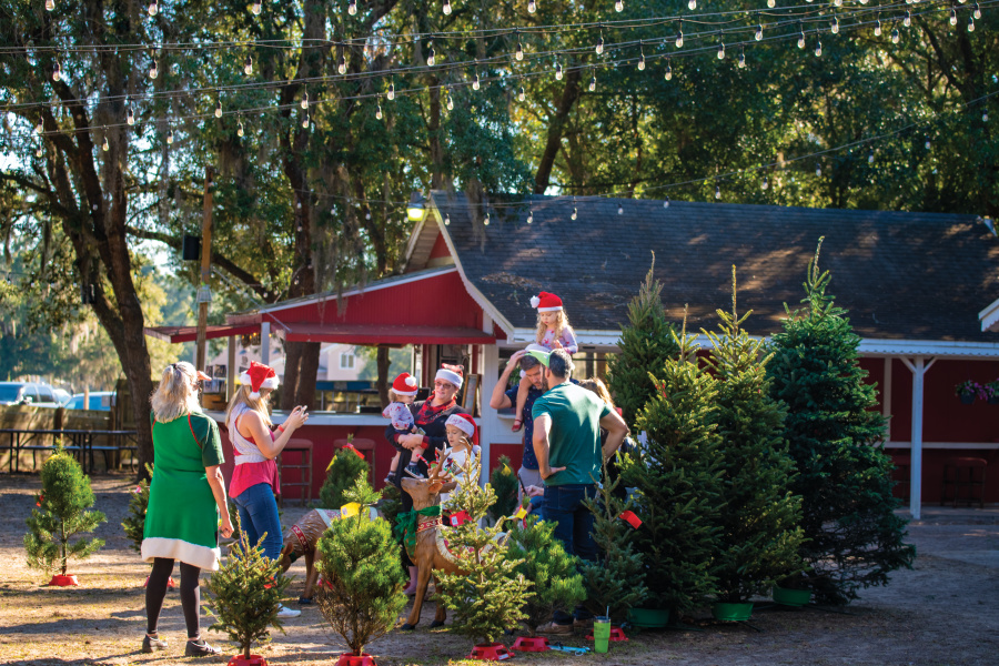 Deck the Halls With a Florida Christmas Tree From Santa’s Christmas ...