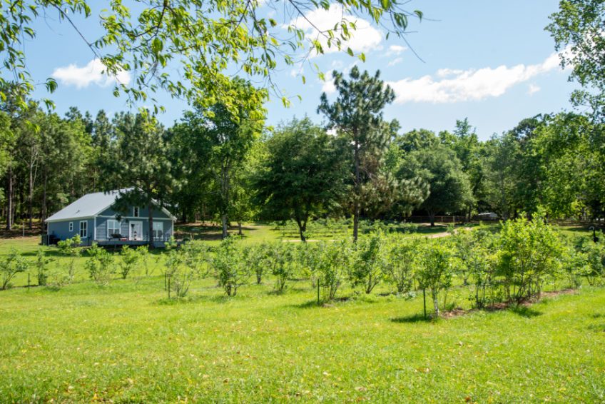 Florida Agritourism Activities Offer Fun on the Farm - Farm Flavor