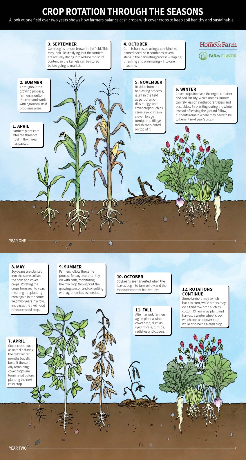 How Tennessee Farmers Benefit the Environment - Farm Flavor