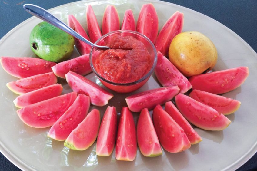 "Fresh From Florida" Products Highlight Florida-Grown Ingredients ...