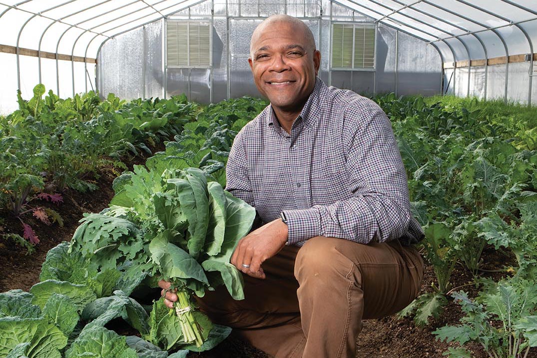 Tennessee Urban Farms Increase Food Access - Farm Flavor