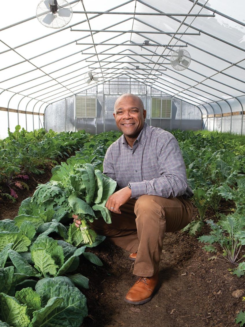 Tennessee Urban Farms Increase Food Access - Farm Flavor