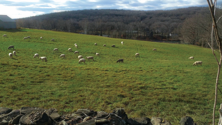 FTG, A Restructured Grant Program, Provides Funding for Connecticut ...