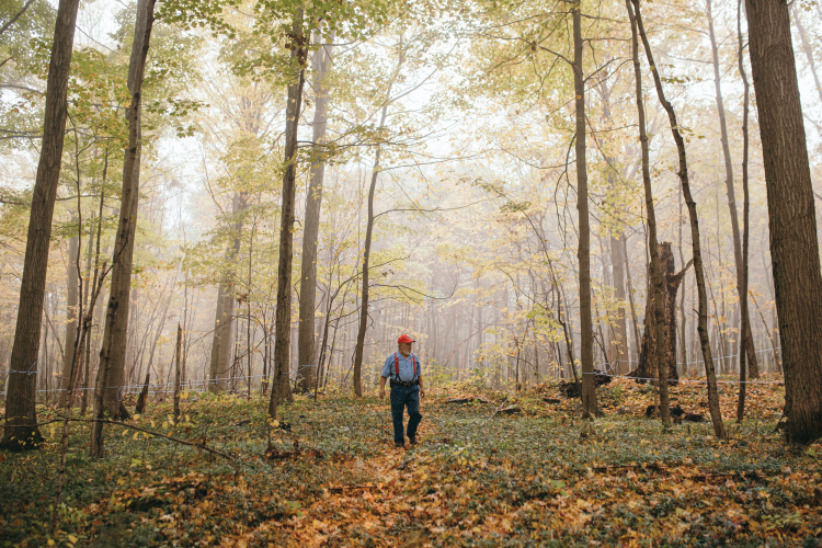 Connecticut Grown Campaign Has a Fresh New Look - Farm Flavor