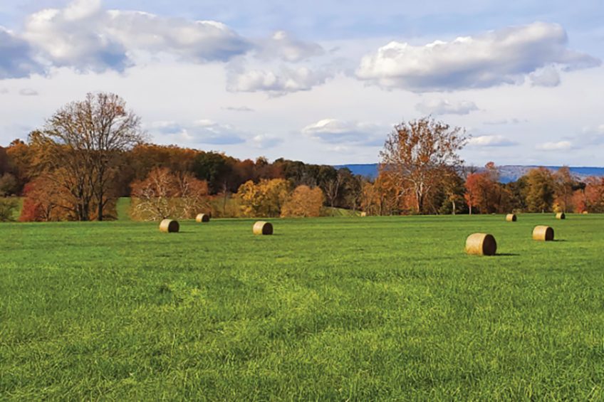 Virginia Agriculture Week Photo Contest Highlights the Beauty of the ...