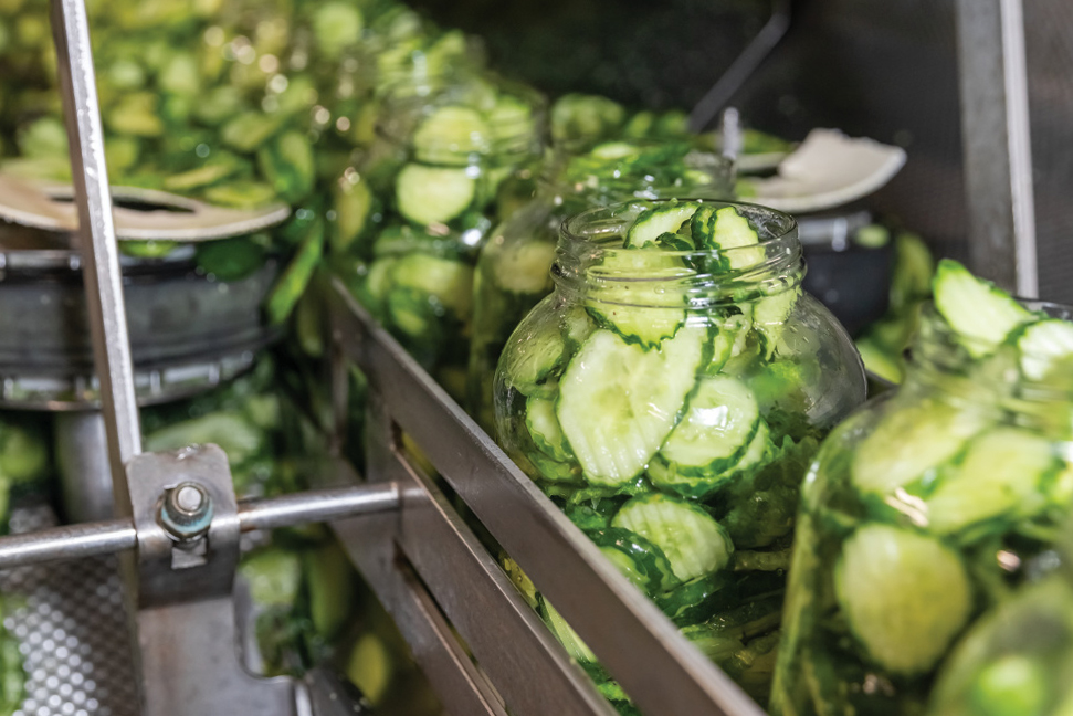 Southeastern North Carolina Thrives on Cucumbers and Pickles - Farm Flavor