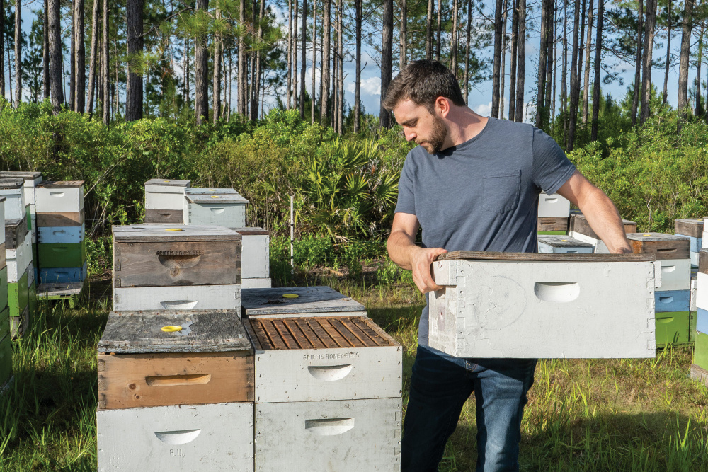 How Florida Beekeepers Support the State’s Agriculture Industry - Farm ...