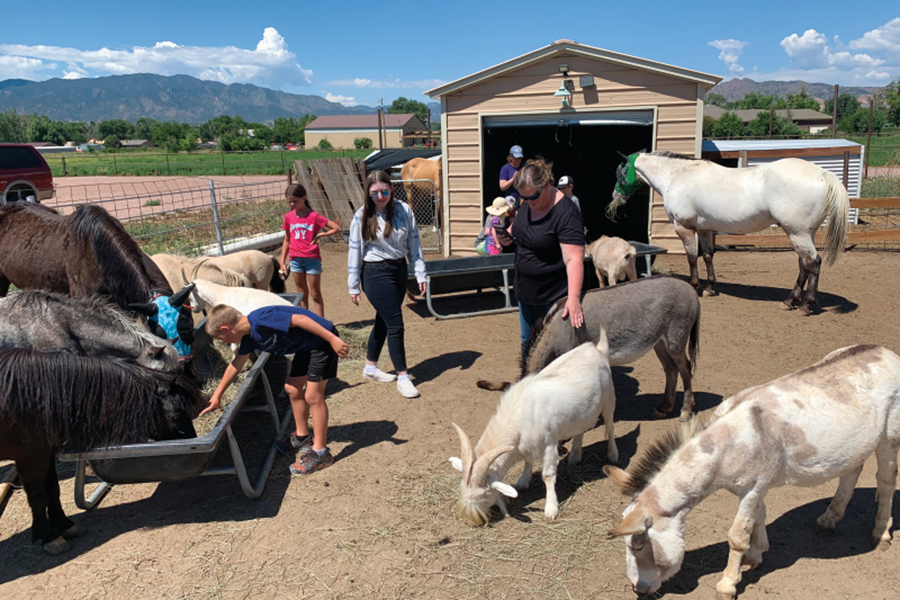 Colorado Agritourism Destinations Offer Unique Adventures - Farm Flavor
