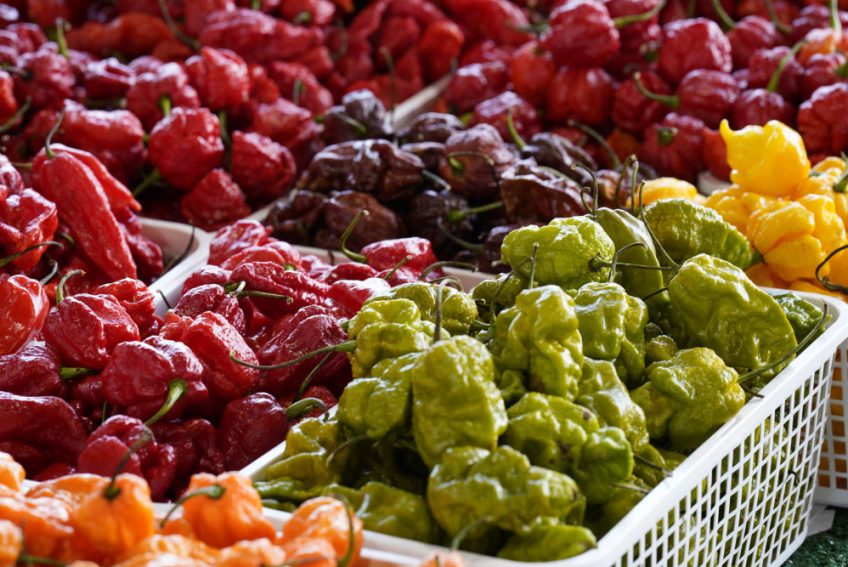 7 Ways to Use Your Garden’s Bounty of Hot Peppers This Summer - Farm Flavor