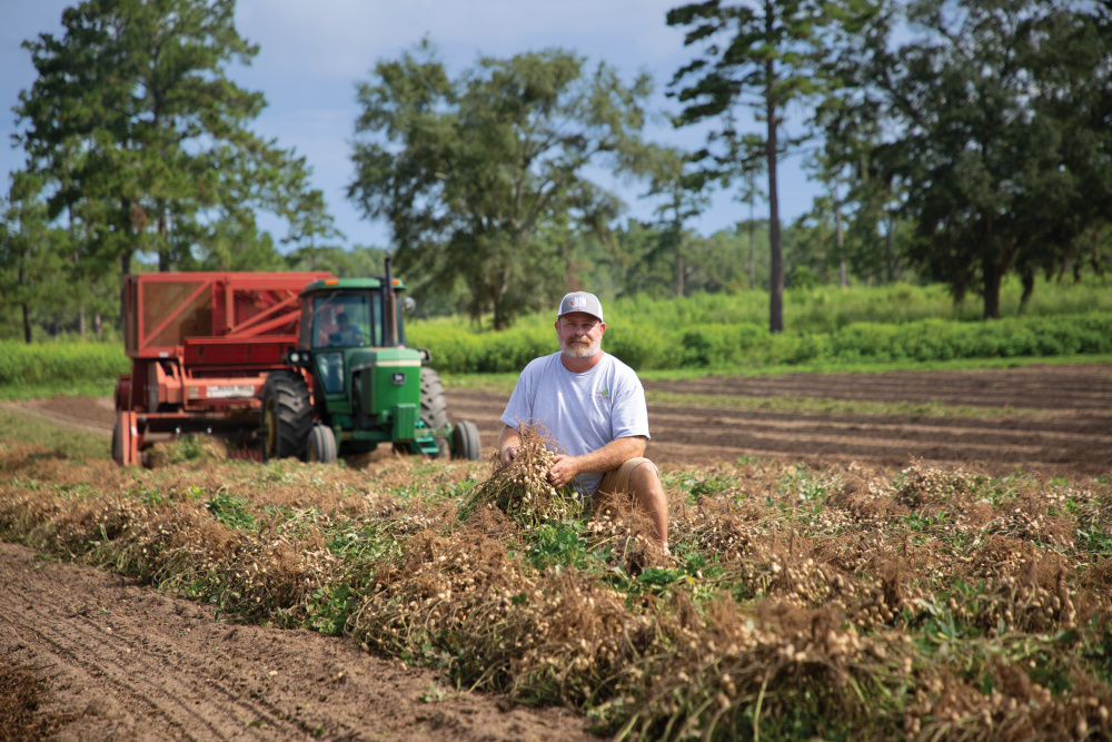 Meet the Florida Peanut Farmers at Fulford Family Farms - Farm Flavor