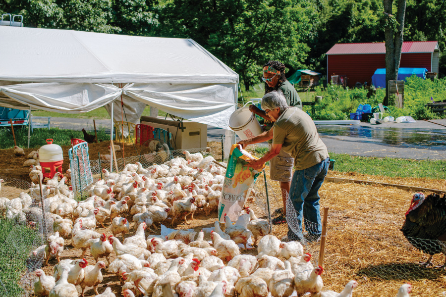 Ohio CAN Food Program Reaches Under-Resourced Ohioans - Farm Flavor