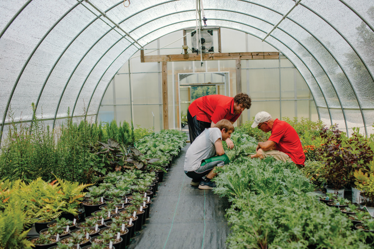 Employees on the Autism Spectrum Bloom at Lettuce Work - Farm Flavor