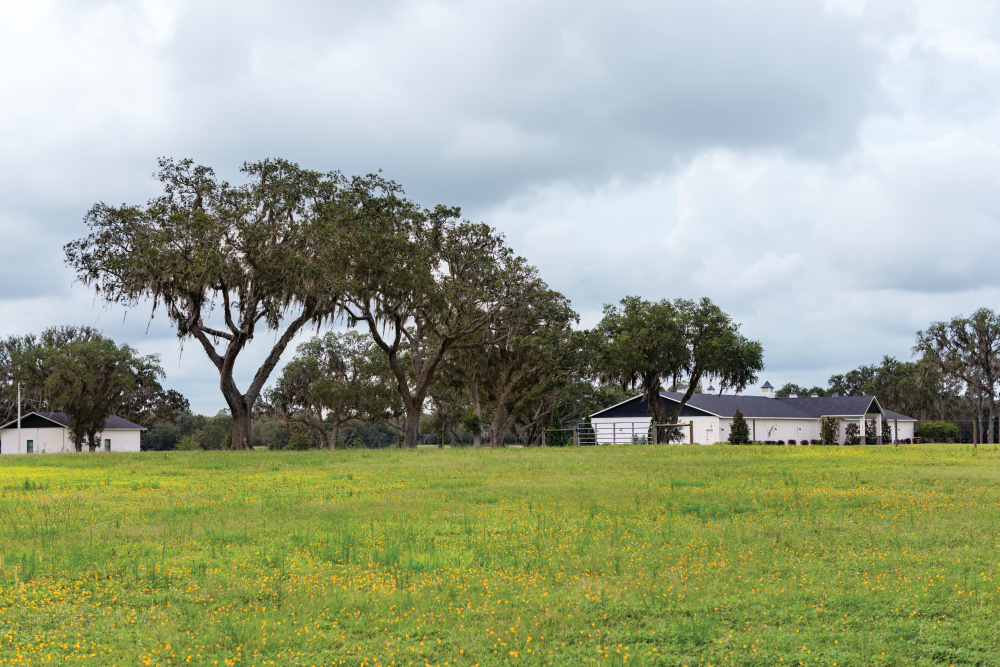 Commissioner Wilton Simpson is a Voice for Florida Farmers - Farm Flavor