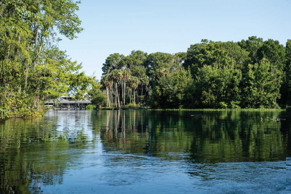 Silver Springs Park in Florida Has Been a Marvel for Centuries - Farm ...