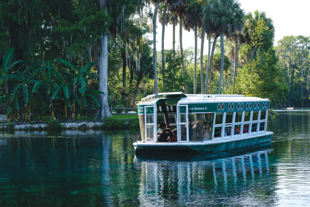 Silver Springs Park in Florida Has Been a Marvel for Centuries - Farm ...