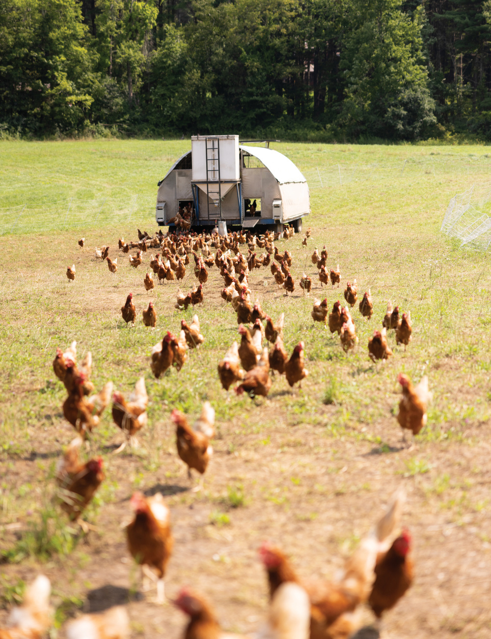 Massachusetts Focuses On Climate Smart Farming Efforts - Farm Flavor