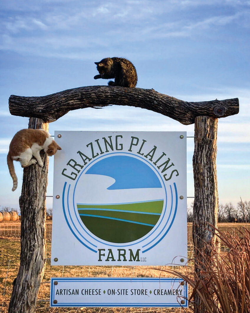 Kansas Dairy Takes Many Forms - Farm Flavor