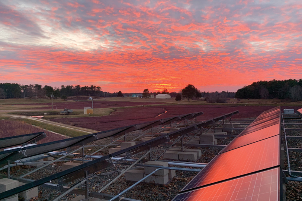 Massachusetts Focuses On Climate Smart Farming Efforts - Farm Flavor