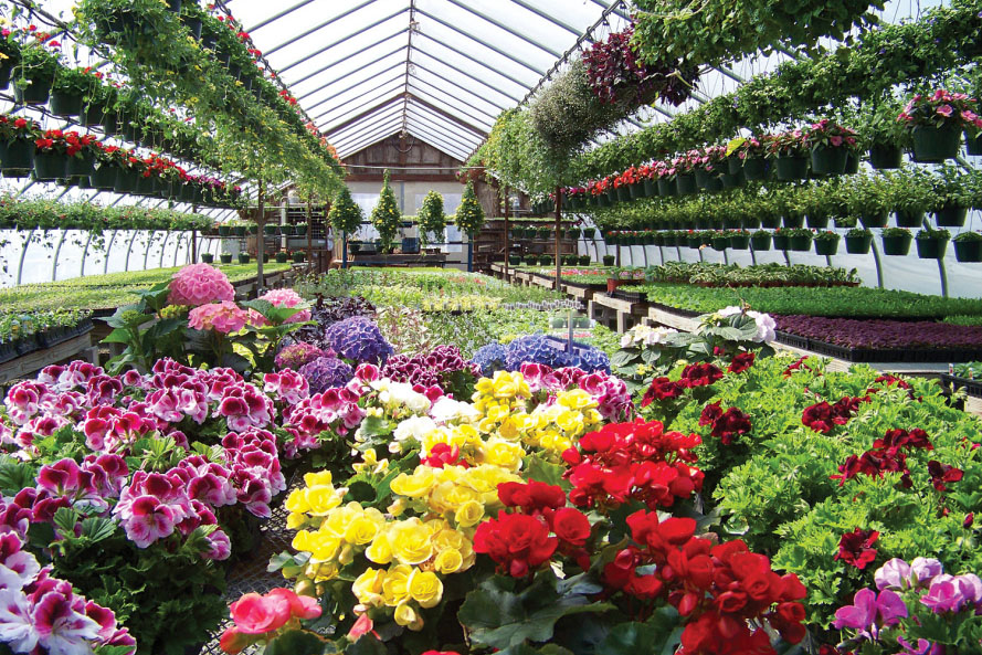 A Brief History of Massachusetts Agriculture - Farm Flavor