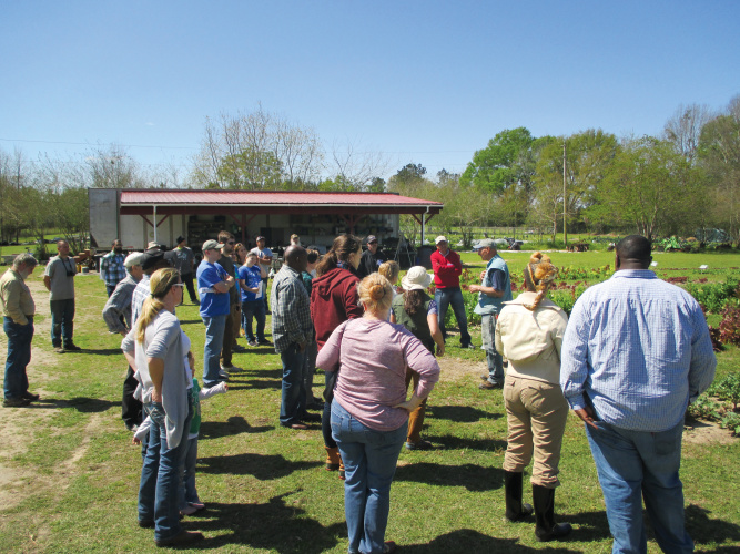 Rural Mississippi Farms Receive Support for Eco-Friendly Practices ...