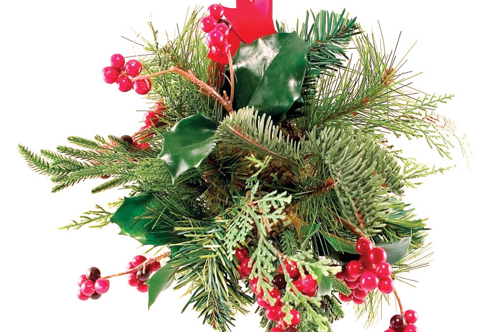 All About Mistletoe - Farm Flavor