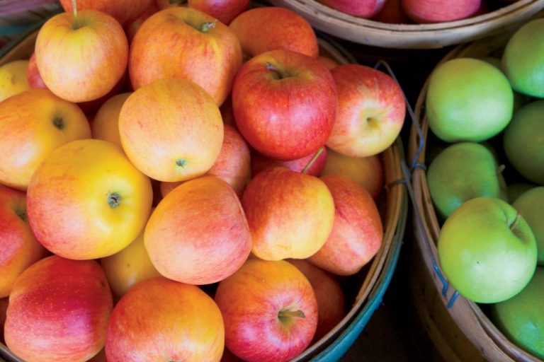 Top 10 Michigan Agricultural Products - Farm Flavor