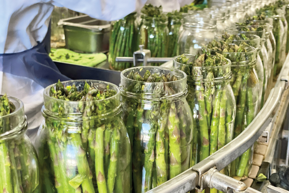 Michigan Asparagus Sprouts Success With Several Tasty Products - Farm ...