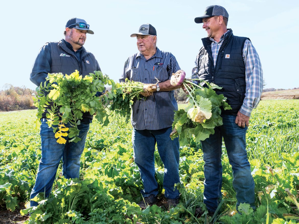 Tennessee Farmers Use Cover Crops For Better Soil - Farm Flavor